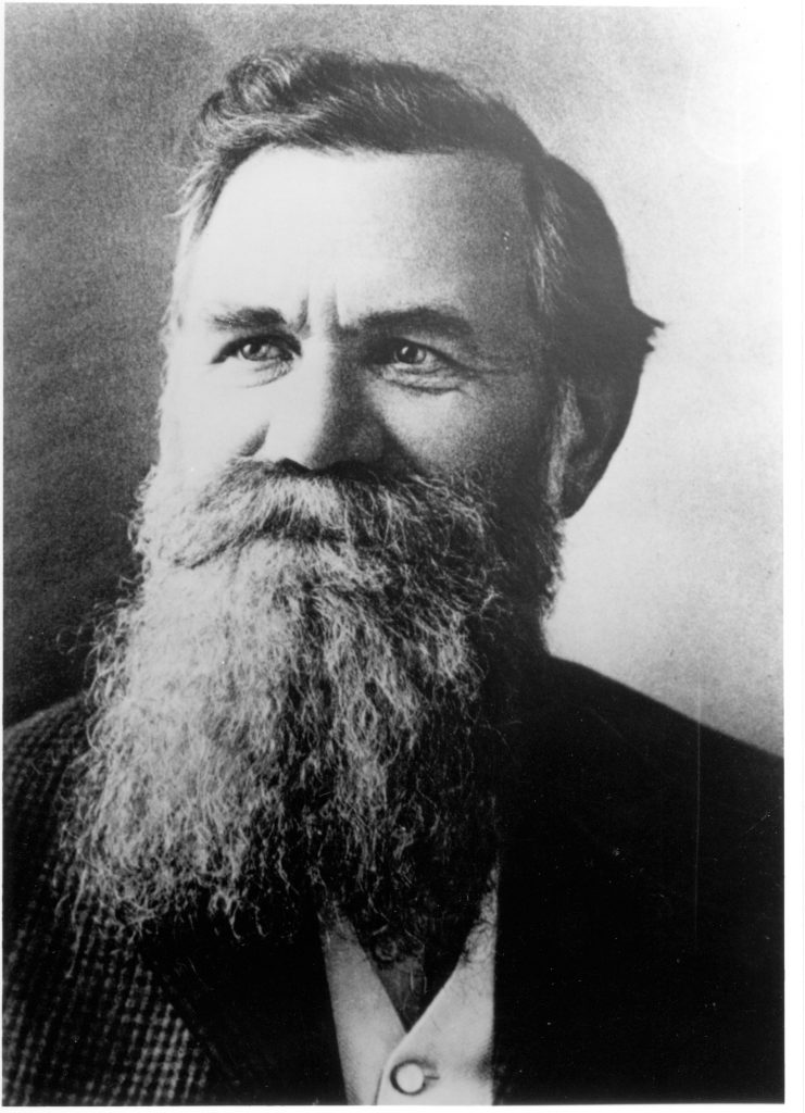 What is Chiropractic? | Find out at True Chiropractic Wellness